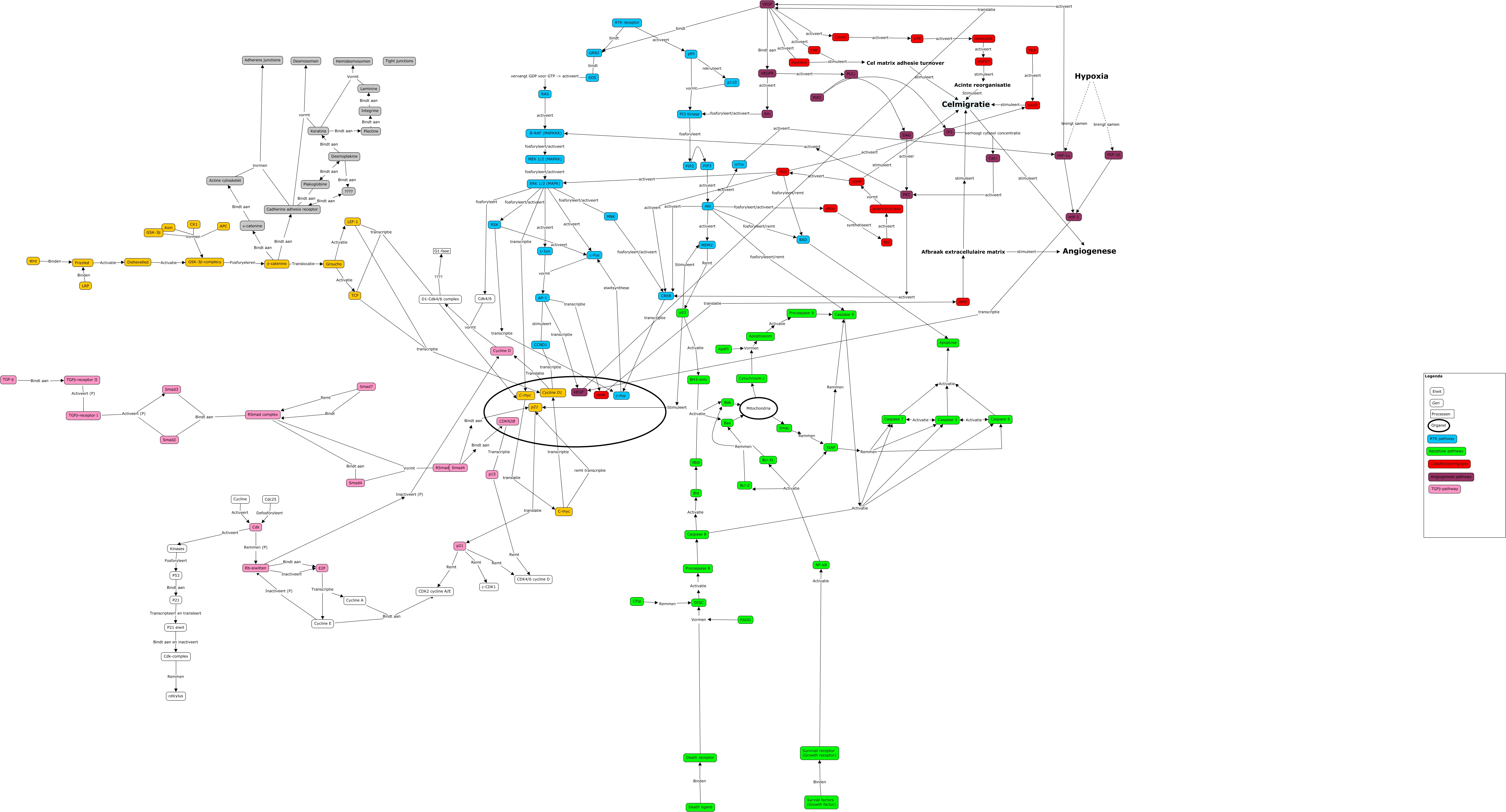 KOPIE CMap_versie1_(Ennia-Fatima-Ghislaine-Maud-Vera-Nikita)